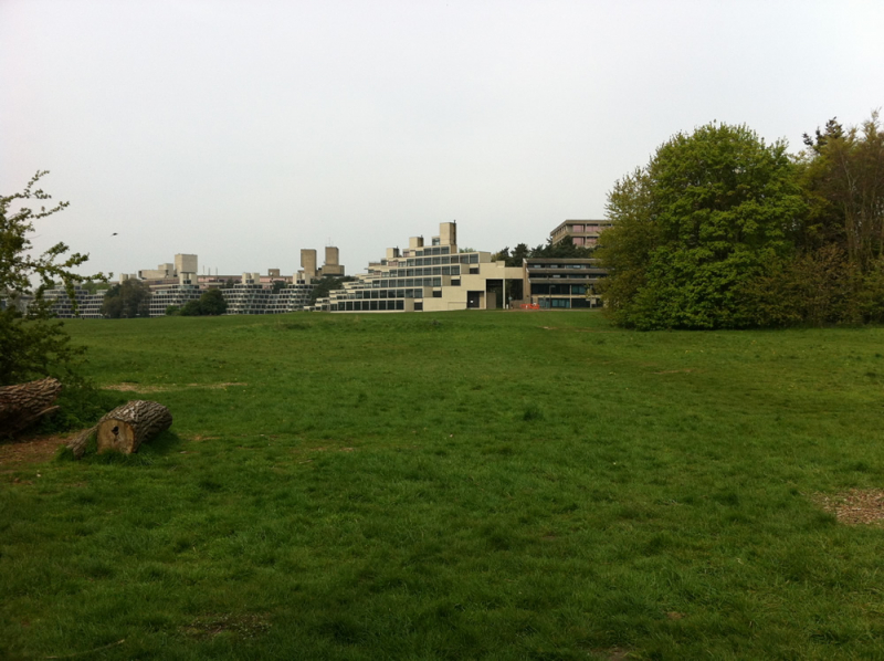 Norwich Walks: Earlham Park and UEA Broad