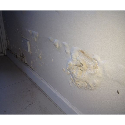 What is rising damp? Has the damp problem in your home been mis-diagnosed?