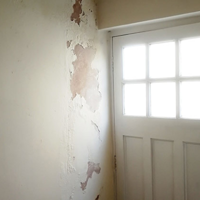 How to Identify What Type of Damp You Have