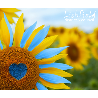 Join sunflower planting event in support of Ukrainian refugees