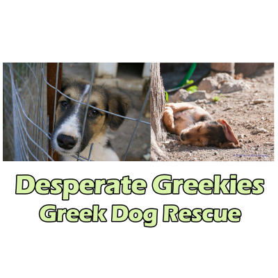 Desperate Greekies Greek Dog Rescue - St Neots