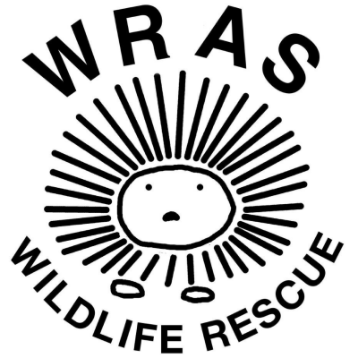 East Sussex WRAS – Wildlife Rescue and Care