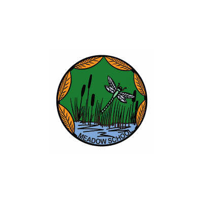 Meadow CP School