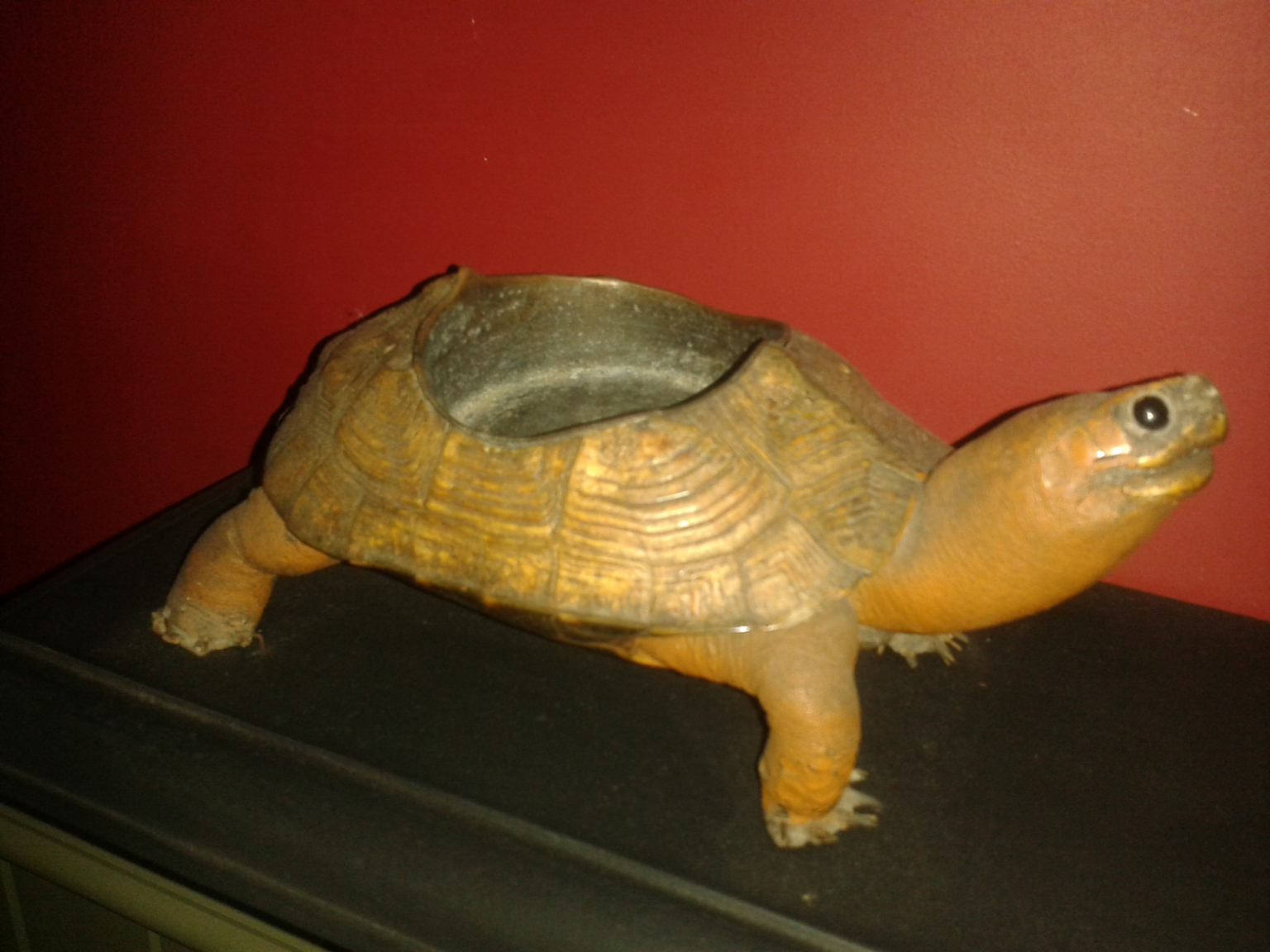 Weirdly Wonderful: Brighton Booth Museum