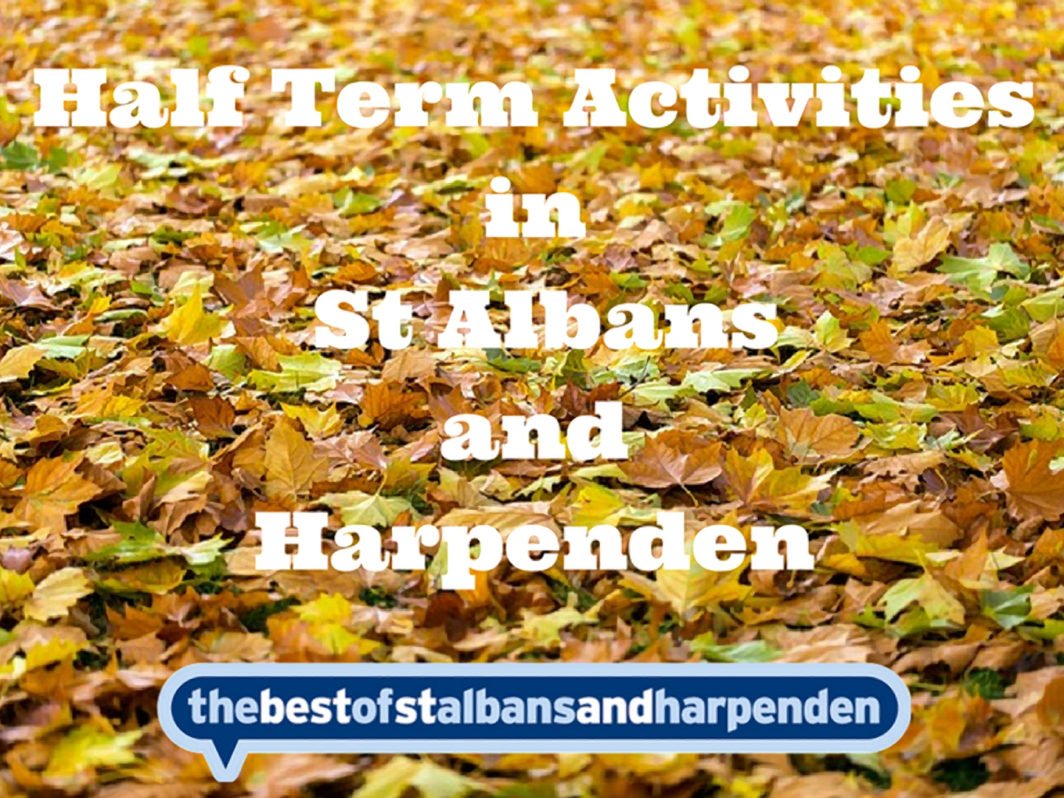 February Half Term Activities in St Albans and Harpenden