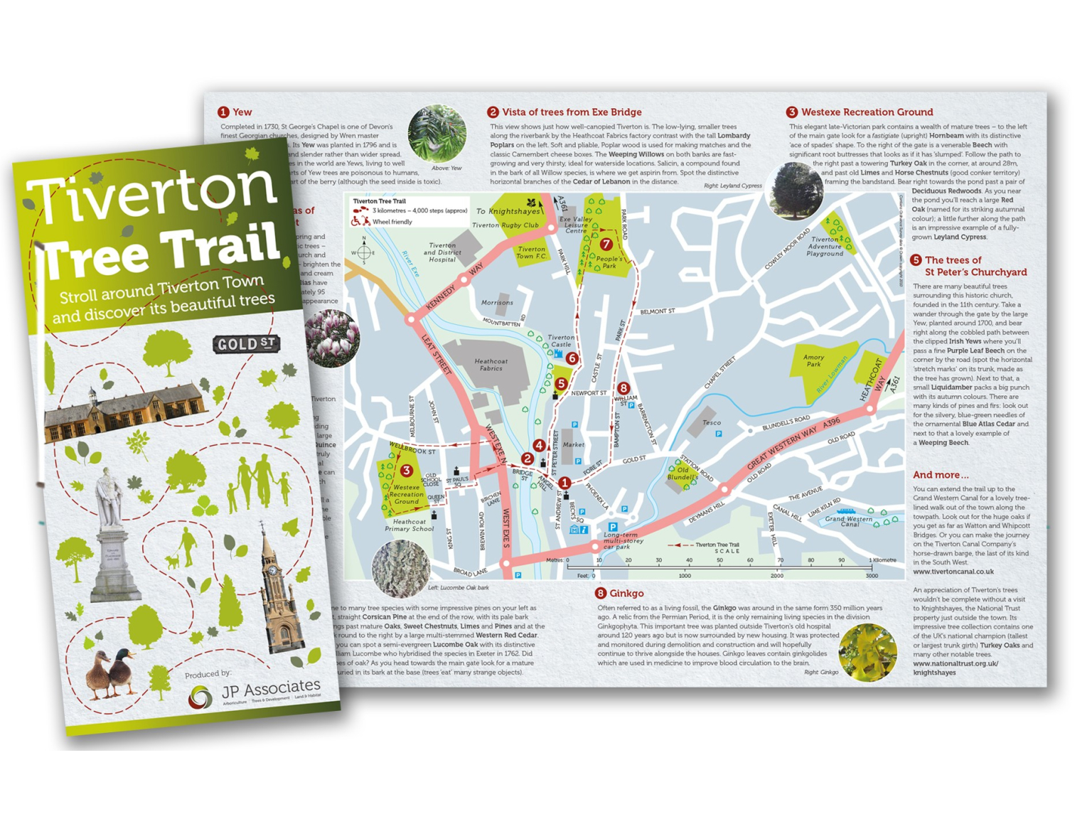 Mayor Launches Tiverton’s First Town Tree Trail