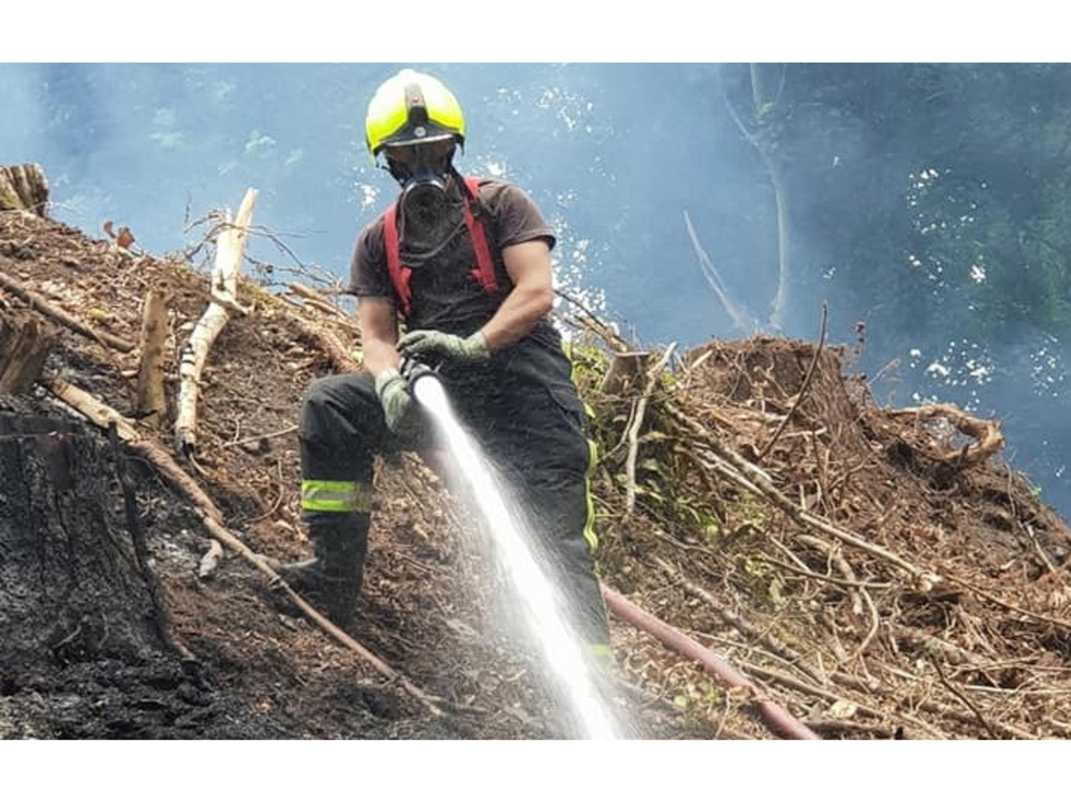 Deliberate fires started within the Torquay area
