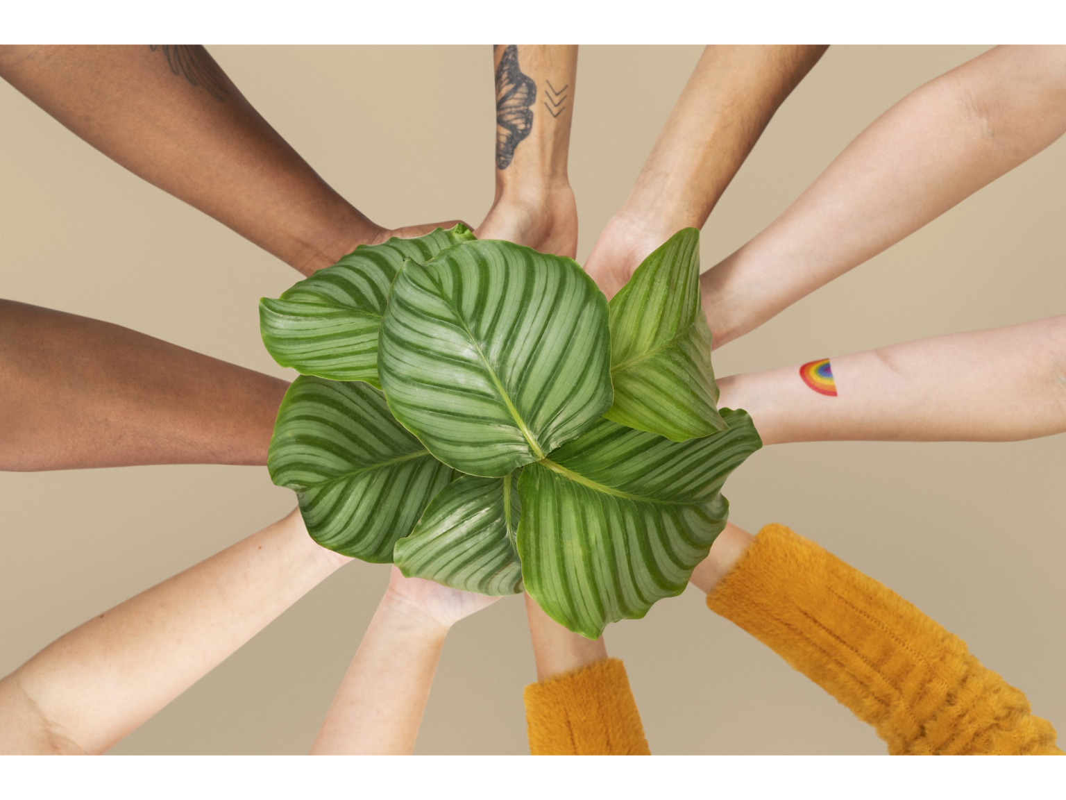 Sustainable Web Design: Designing for a Greener Internet