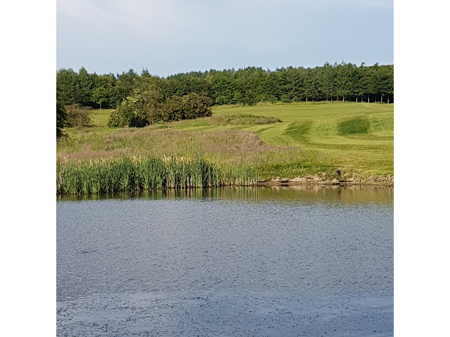 Walmersley Golf Club - Bury