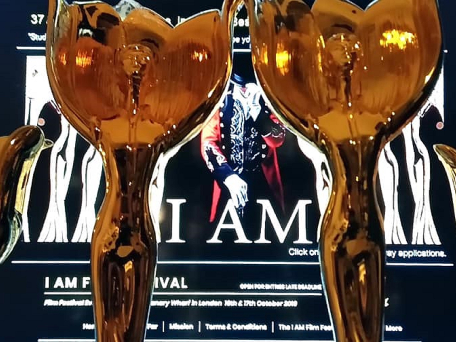 Element Films - Guernsey