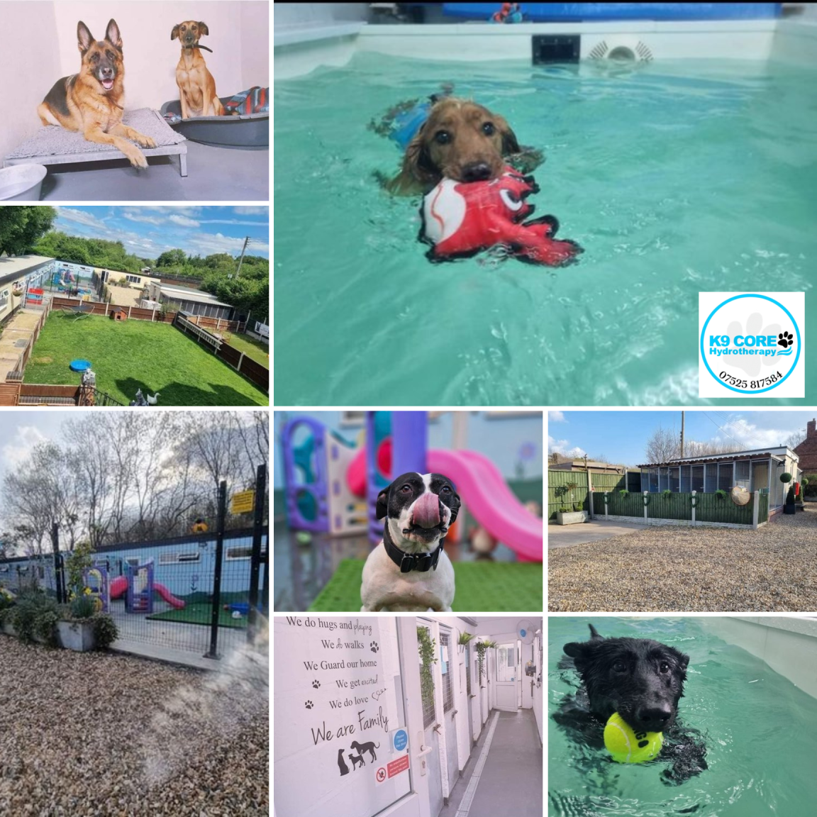 K9 Core Hydrotherapy & Rehabilitation Centre - Walsall