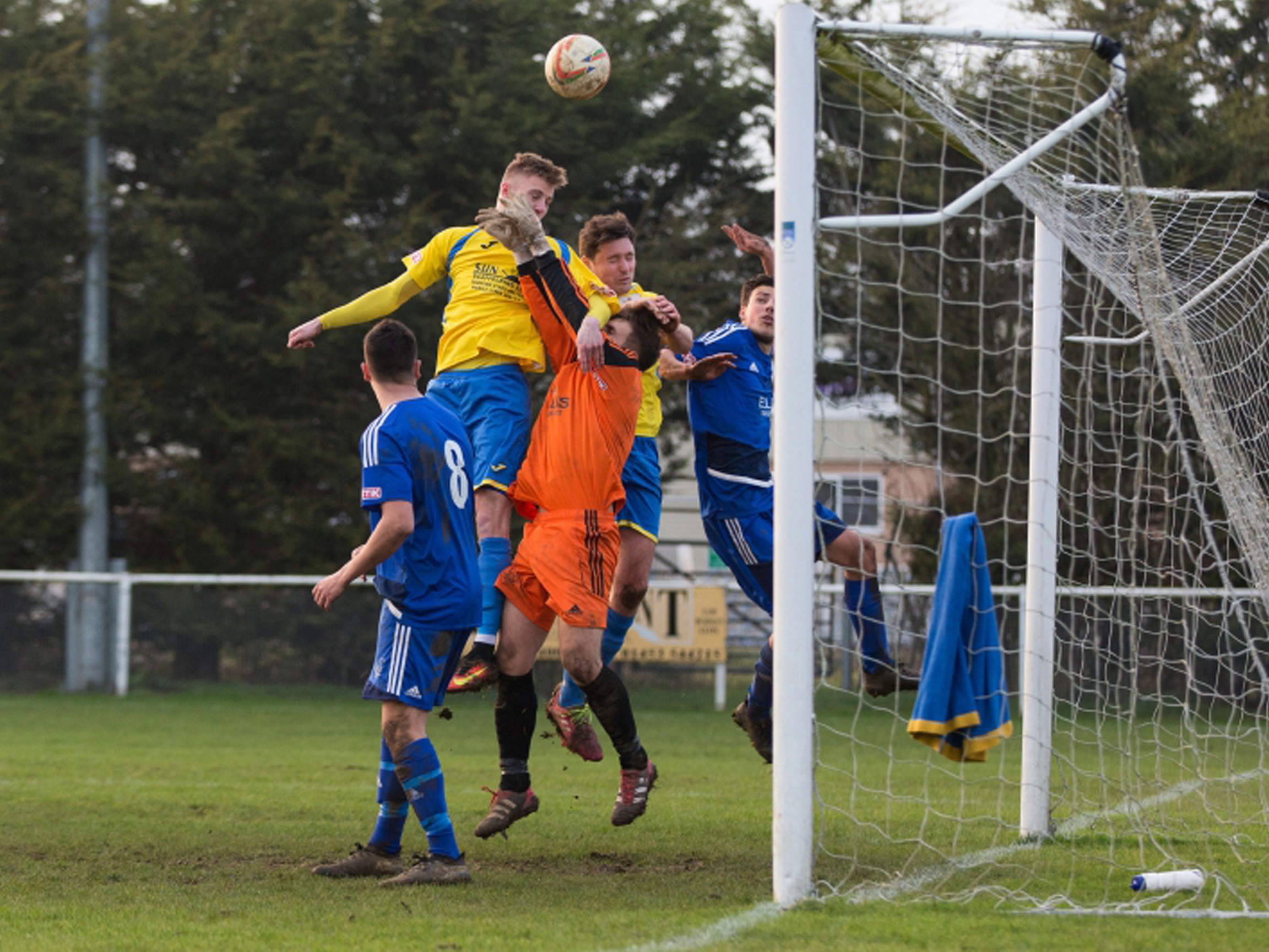 Taunton Town Football Club Home of the Peacocks
