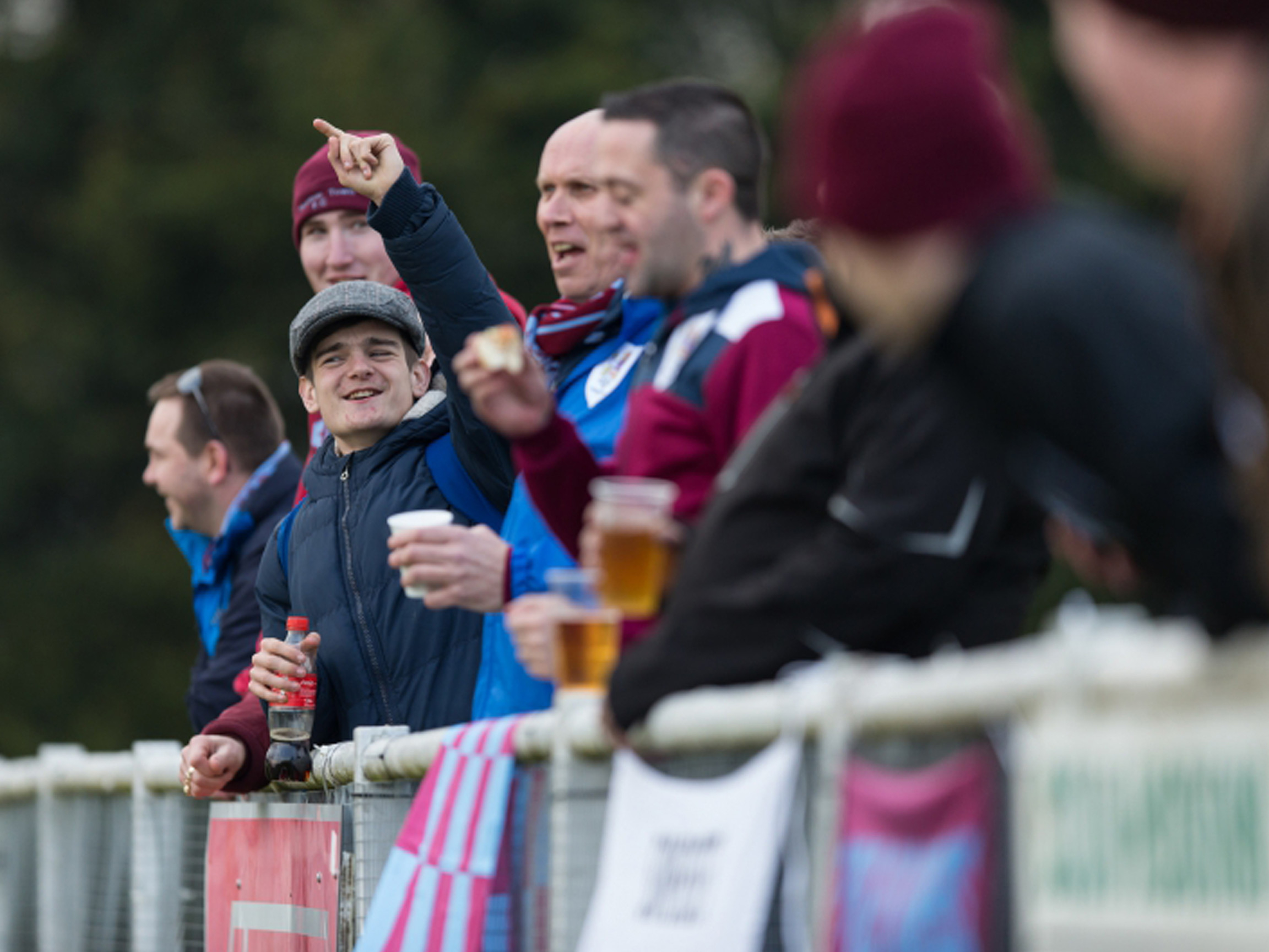 Taunton Town Football Club Home of the Peacocks