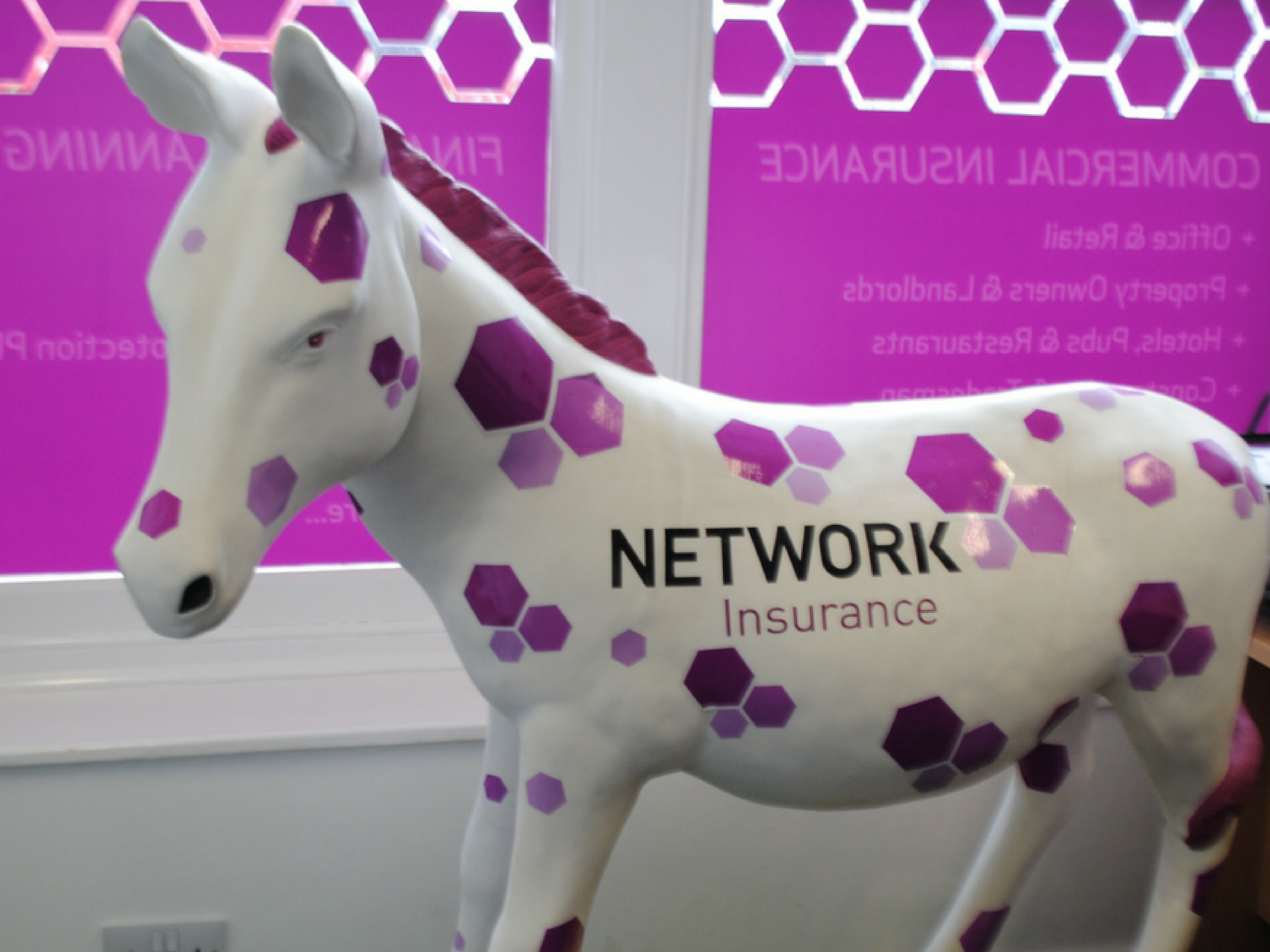 Network Insurance & Financial Planning - Guernsey