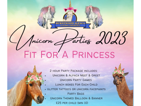 Burntwood Alpacas and Animal Experiences - Day Out in Lichfield